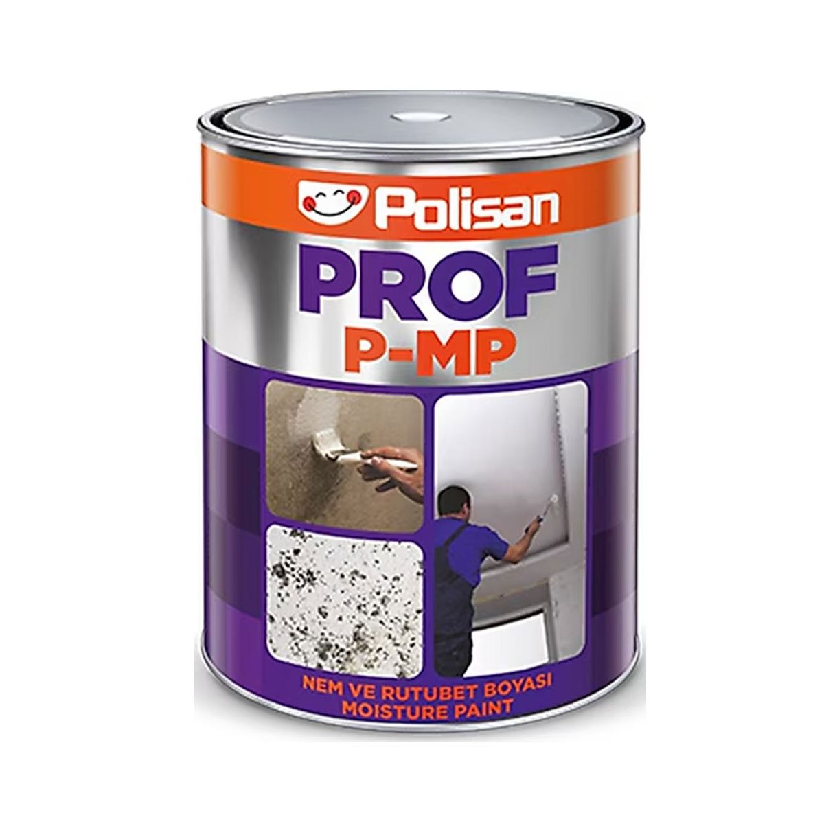 Polisan Prof P-MP 2,5 kg Nem ve Rutubet Boyası Fiyatları