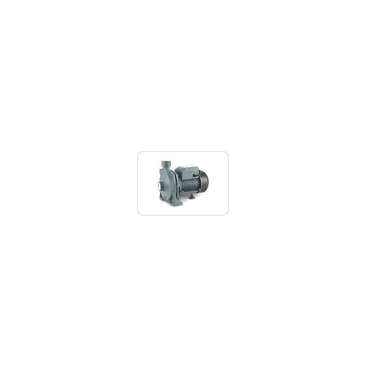 Rain Pump CPM146 Santrifuj Pompası Fiyatları