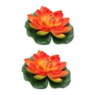 Nilüfer Bitkisi Fiyatları