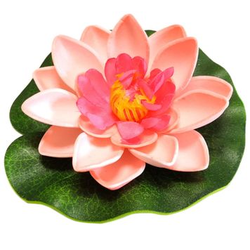 Nilüfer Bitkisi Fiyatları