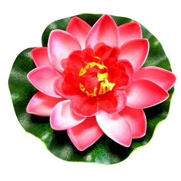 Nilüfer Bitkisi Fiyatları