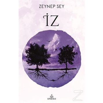 Zeynep Sey Kitapları ve Eserleri