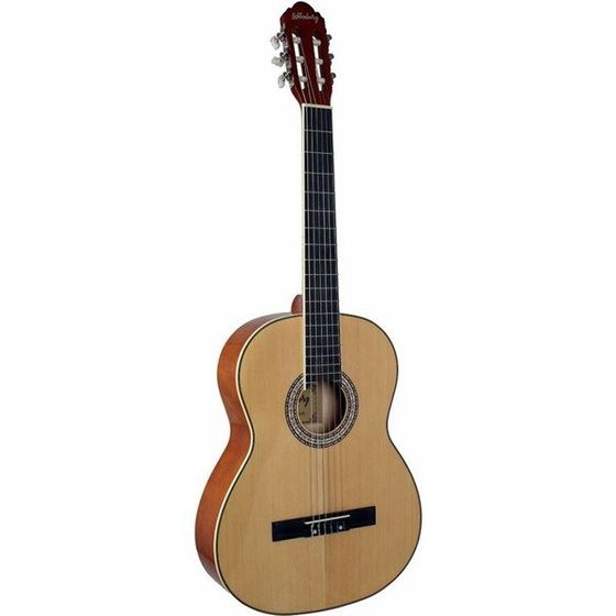 Lichtenberg LC-160 NT Kasik Gitar Taşıma Çantası Fiyatları ve Özellikleri