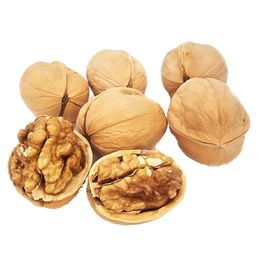 1 kg İthal Kabuklu Ceviz Fiyatları