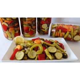 Mevsim 2x1,4 kg Karışık Turşu Fiyatları